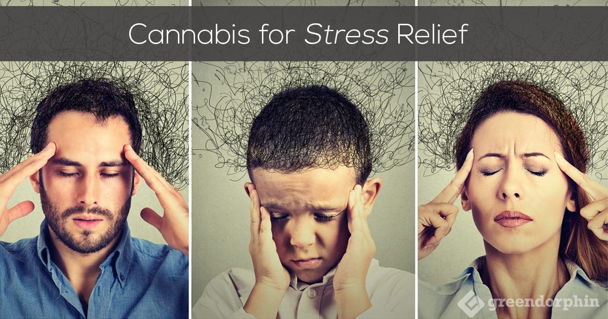 Cannabis for Stress Relief | Greendorphin.com